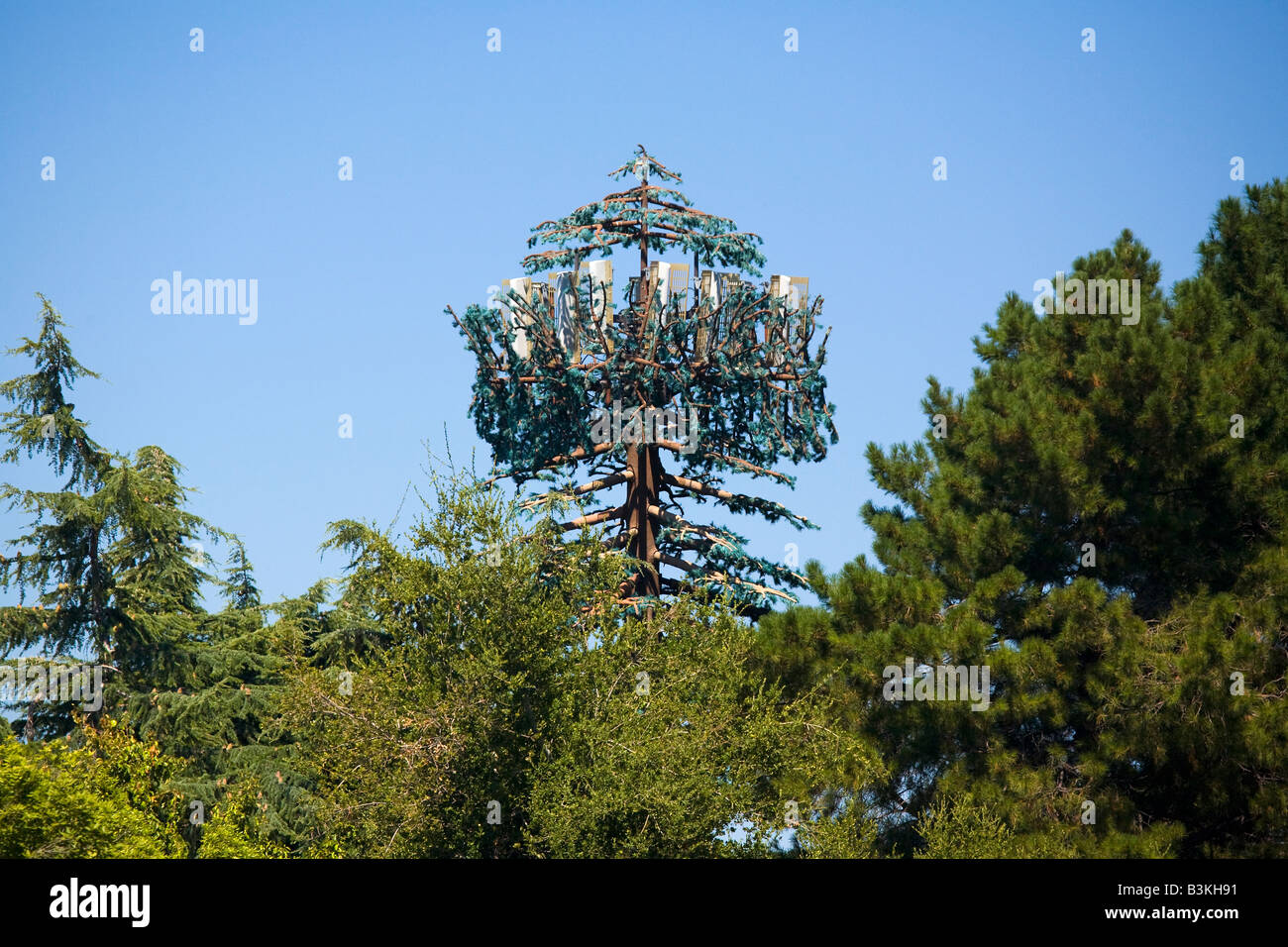 Cell tower tree hi-res stock photography and images - Alamy