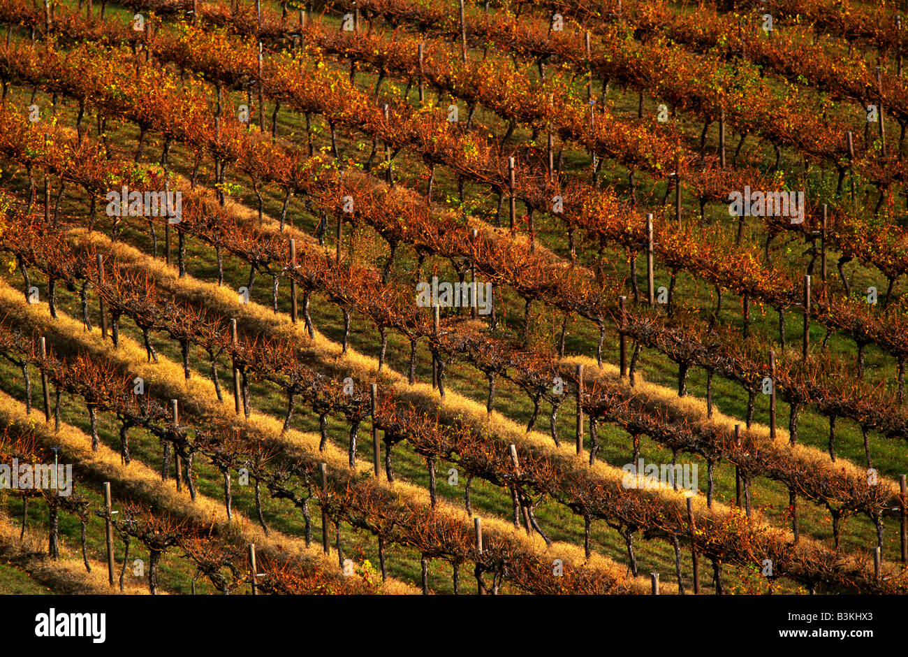 Parallel diagonal rows lines patterns hi-res stock photography and ...