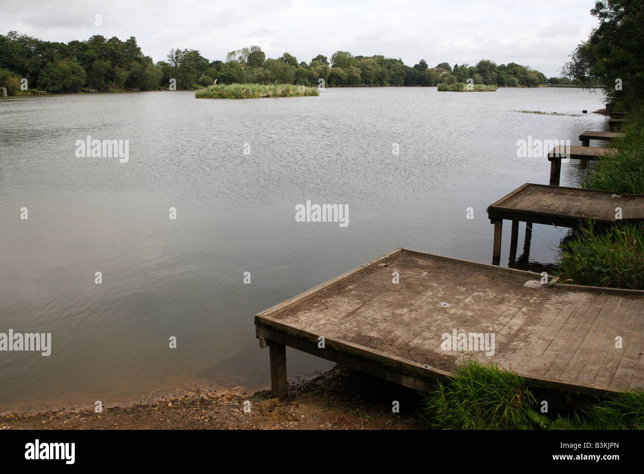 engine pool a popular fishing venue part of earlswood lakes ...