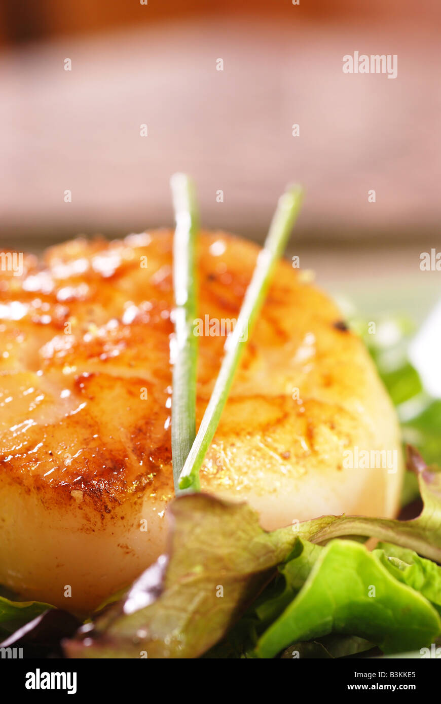 Scallop with field greens on a dinner plate Stock Photo - Alamy