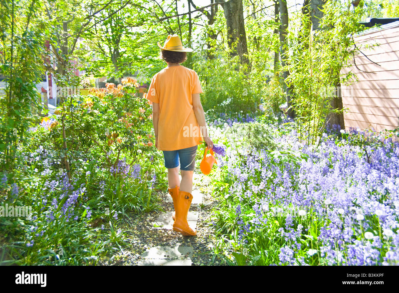 Woman walking through flowered path in garden Stock Photo - Alamy