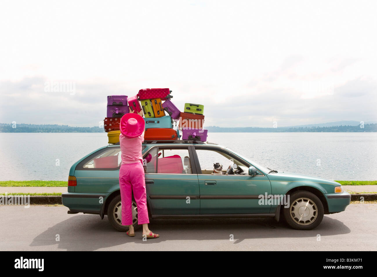 Car with suitcases on top store