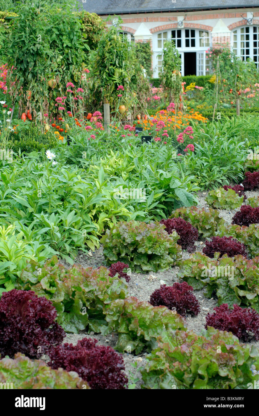 Potager garden vegetables hi-res stock photography and images - Alamy