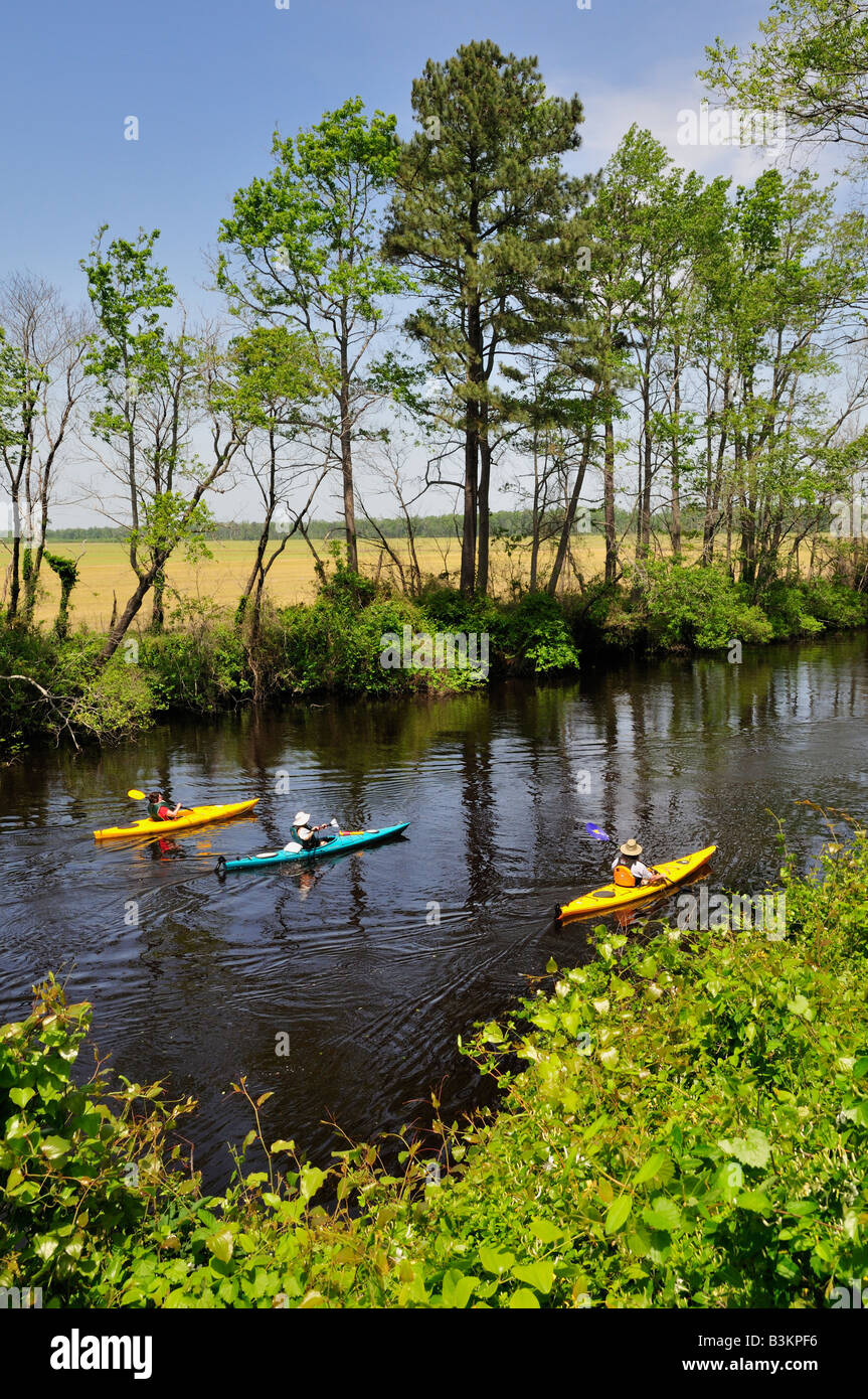 Paddle Canal High Resolution Stock Photography and Images - Alamy
