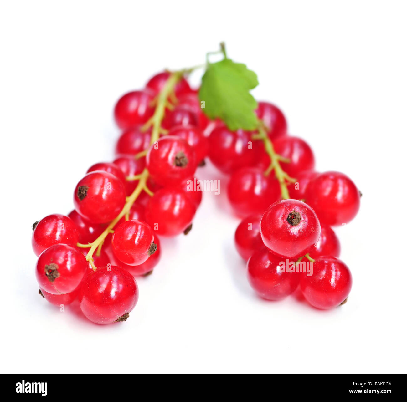 Red currant berries isolated on white background Stock Photo - Alamy
