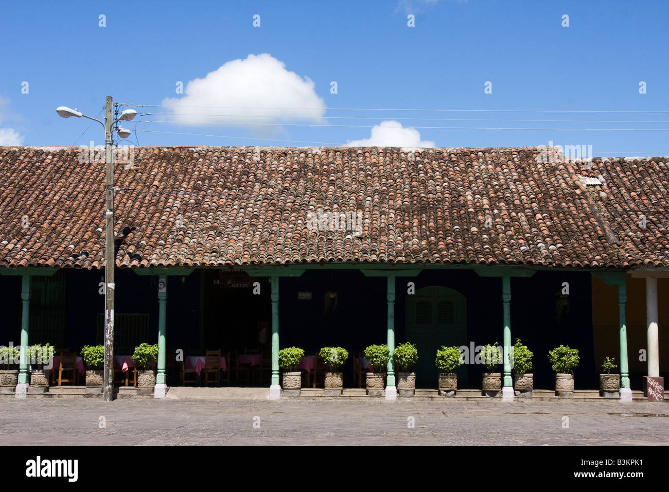 A veranda lined with potted ficus trees and the facade of a colonial ...