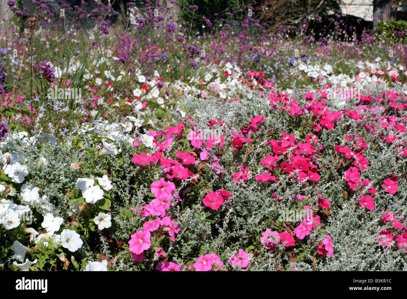 Planting schemes hi-res stock photography and images - Alamy