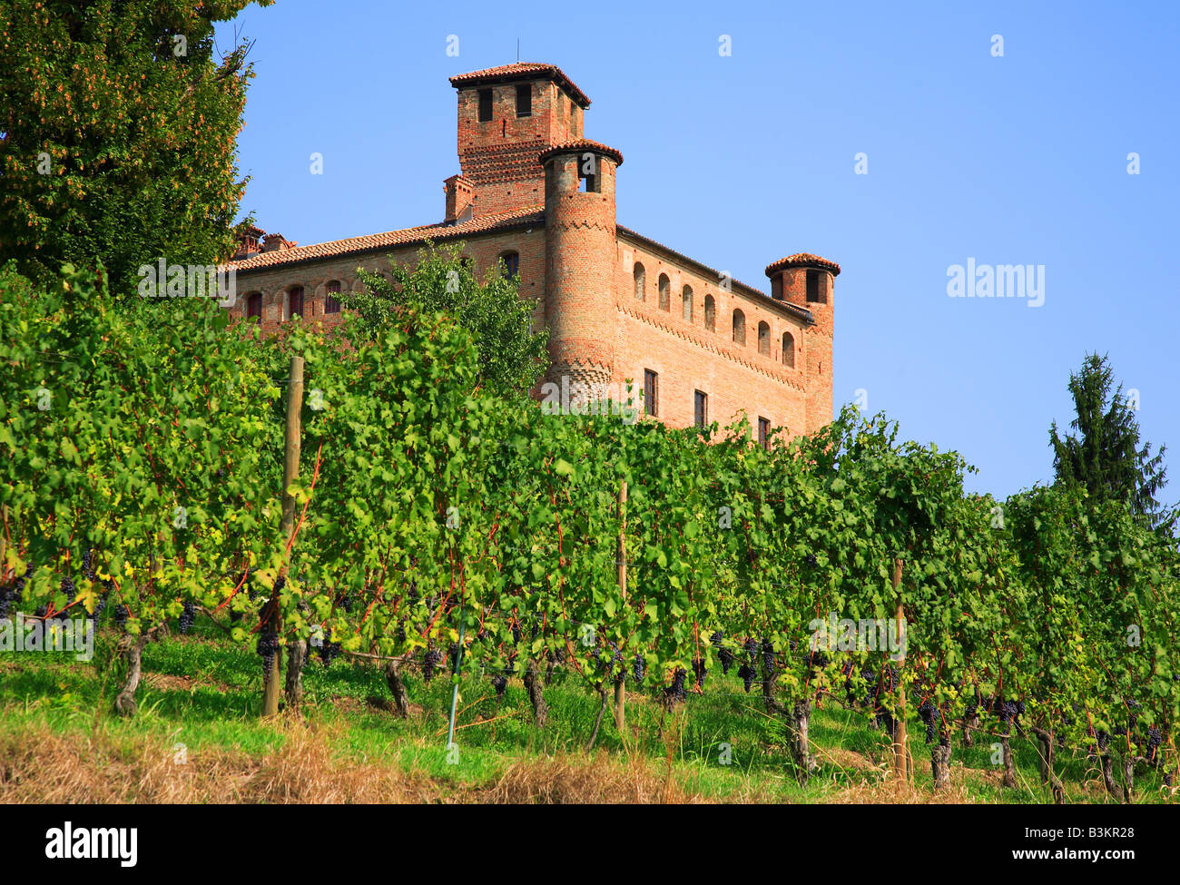 Castle Castello Cavour in the place Grinzane Cavour Barolo Piemont ...