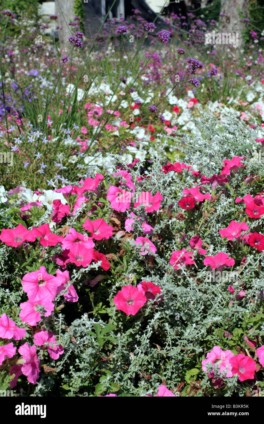 Municipal planting france hi-res stock photography and images - Alamy