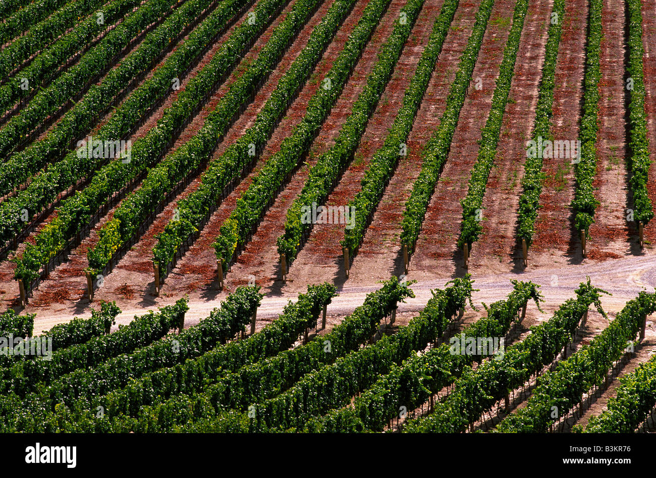 Parallel diagonal rows lines patterns hi-res stock photography and ...
