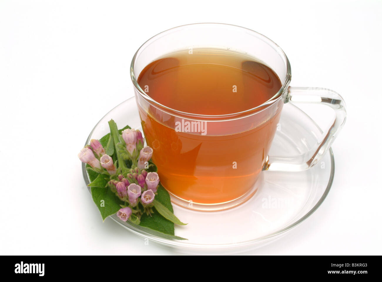medicinal tea made of common comfrey comfrey erba di San Lorenzo ...
