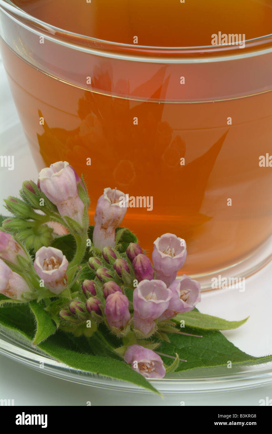 Erba hi-res stock photography and images - Alamy