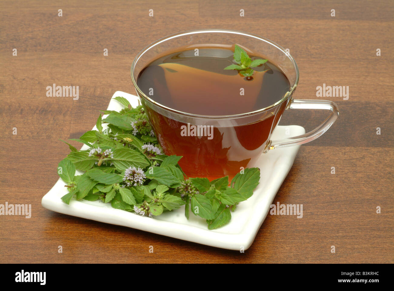 Herb tea made of medicinal plant Peppermint Mentha piperita Menta ...