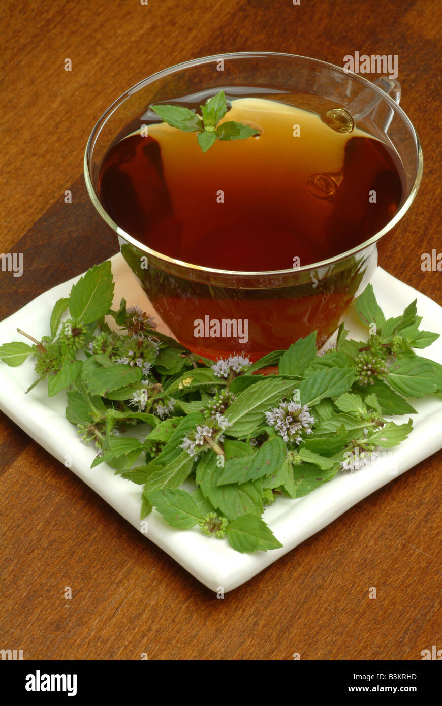 Herb tea made of medicinal plant Peppermint Mentha piperita Menta ...