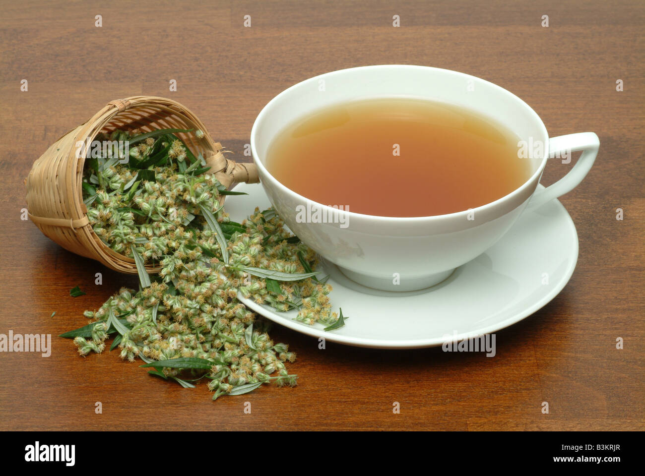 Medicinal herb tea and Blossom of the medicinal plant mugwort wegwood ...
