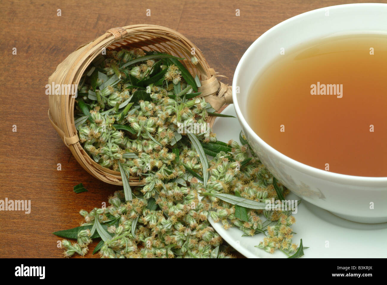 Medicinal herb tea and Blossom of the medicinal plant mugwort wegwood ...