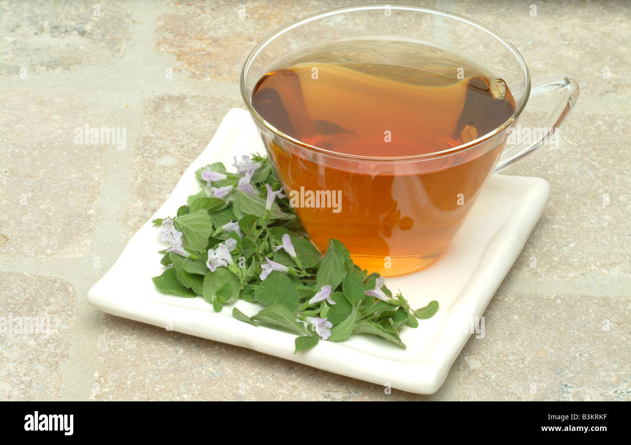 Calamint tea hi-res stock photography and images - Alamy