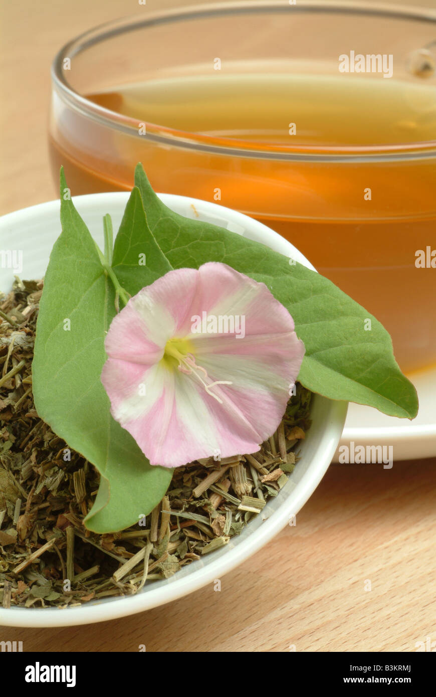 Vilucchio comune hi-res stock photography and images - Alamy