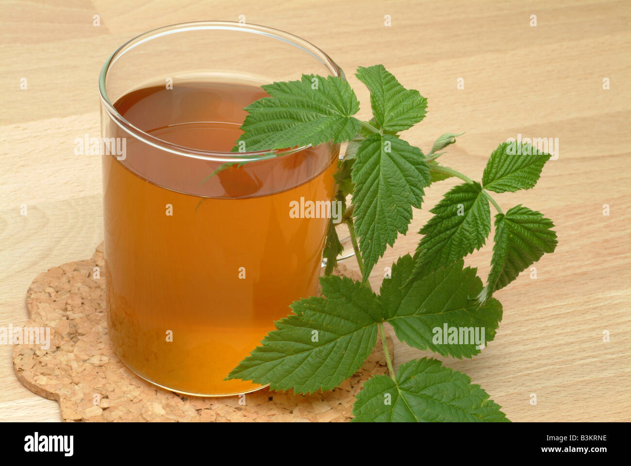 raspberrytea raspberry tea raspberryleavestea Rubus spp Lampone Stock ...