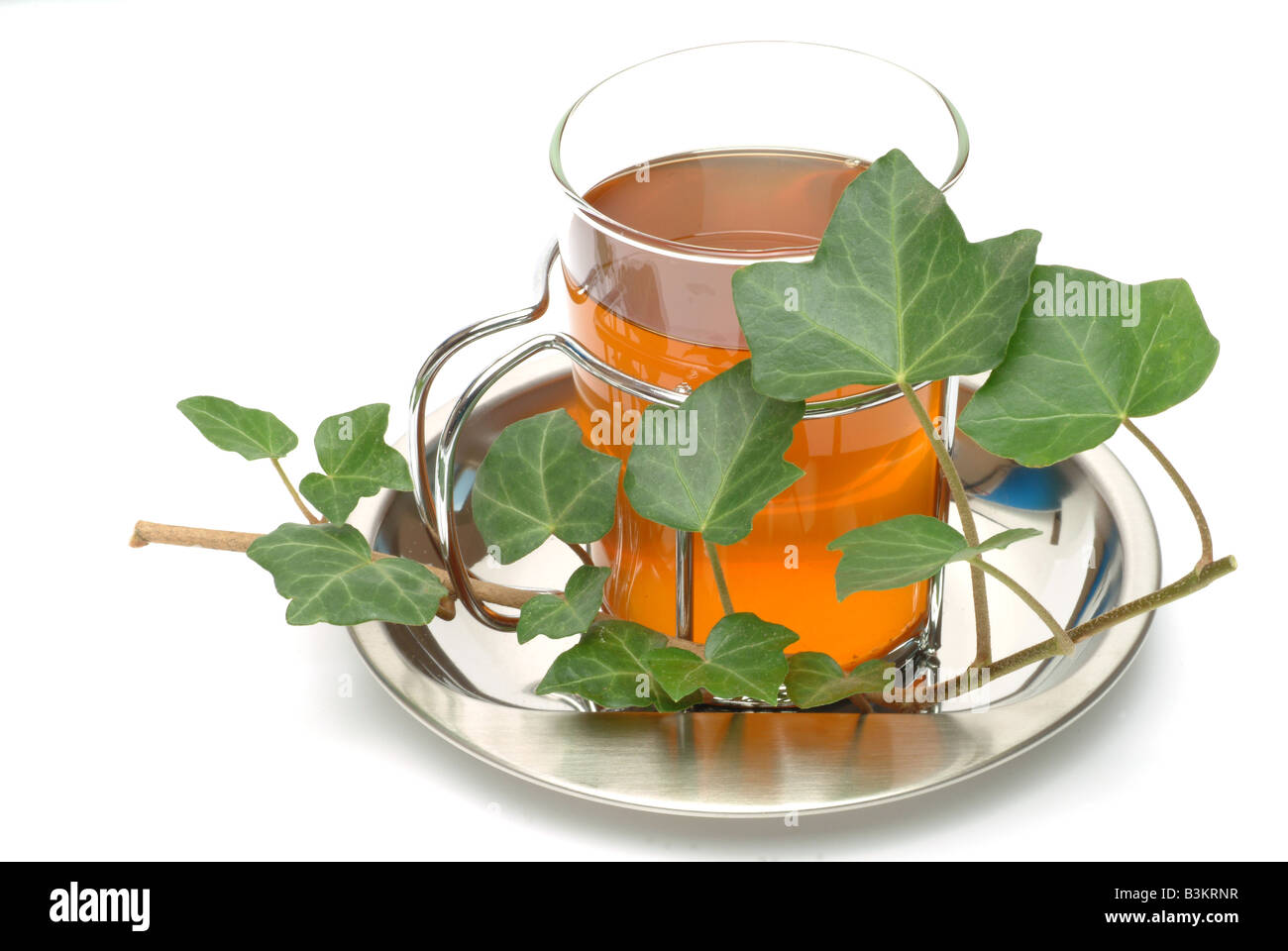 ivytea ivy tea infuso di edera medicinal tea Stock Photo - Alamy
