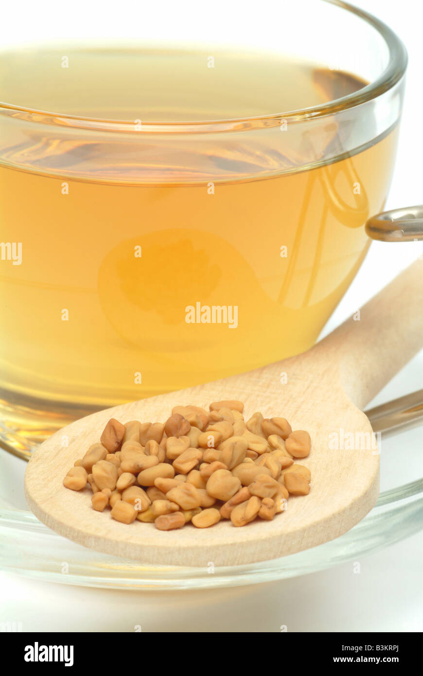 fenugreektea fenugreek tea infuso di fieno greco trigonella trigonella ...