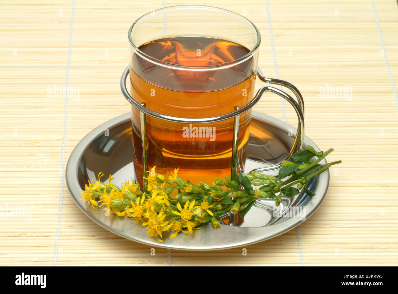 Golden rod tea hi-res stock photography and images - Alamy