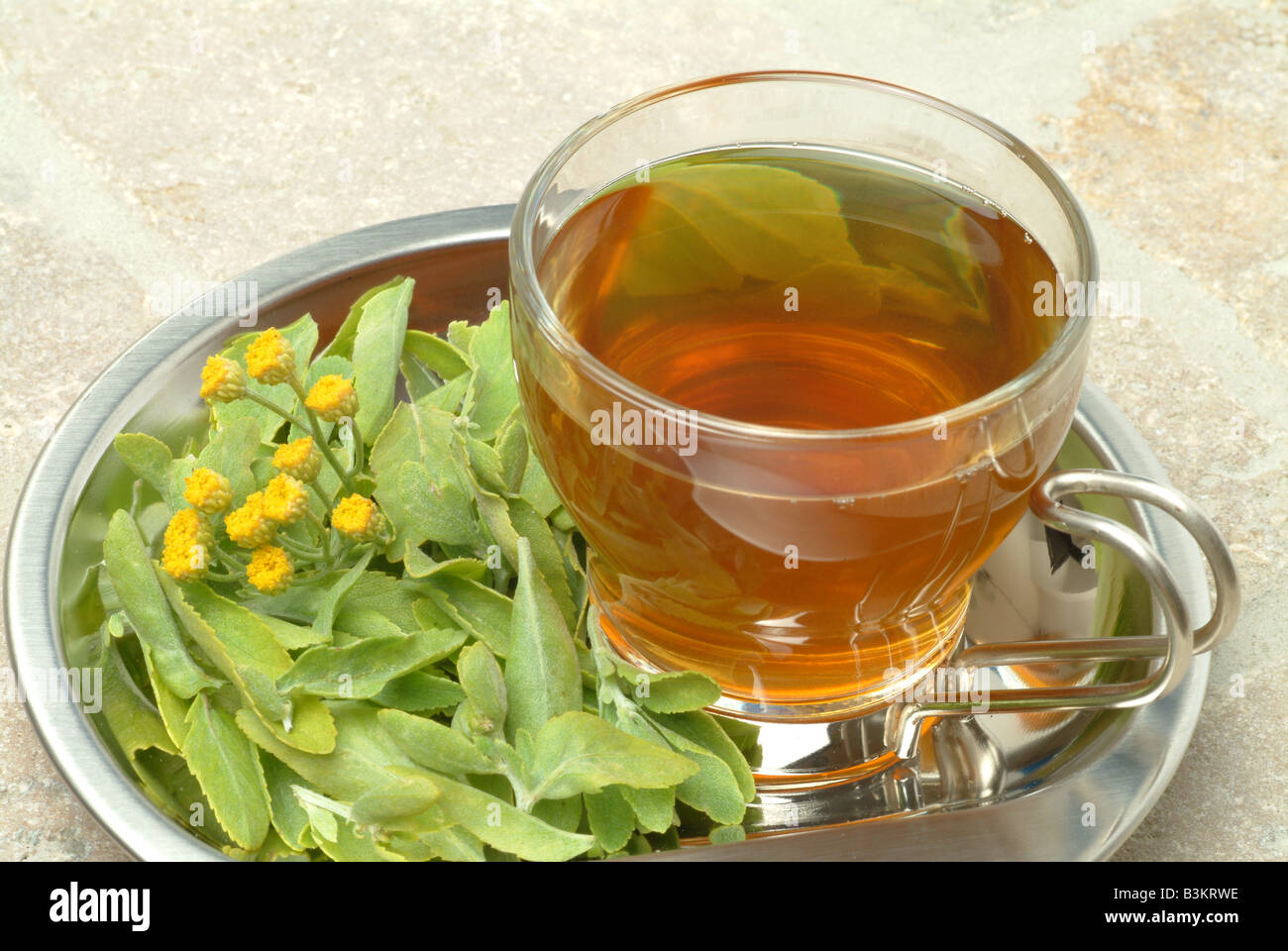 Herbtea made balsamita major alecost hi-res stock photography and ...