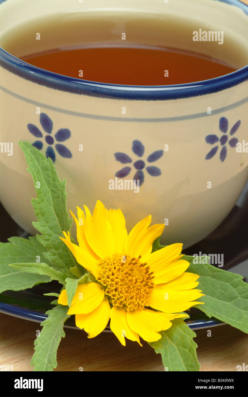 Anil tea hi-res stock photography and images - Alamy