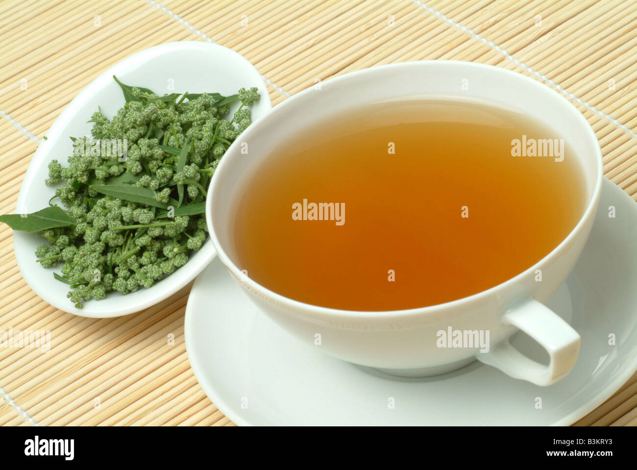 medicinal tea made of mugwort wegwood artemisia artemisia vulgaris ...