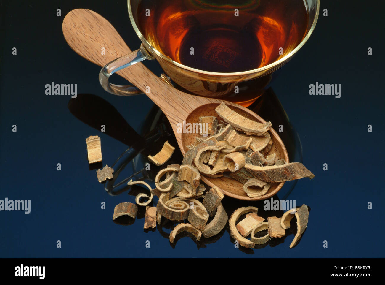 medicinal infusion made of Brush wattle silk acacia cape wattle Mimosa ...