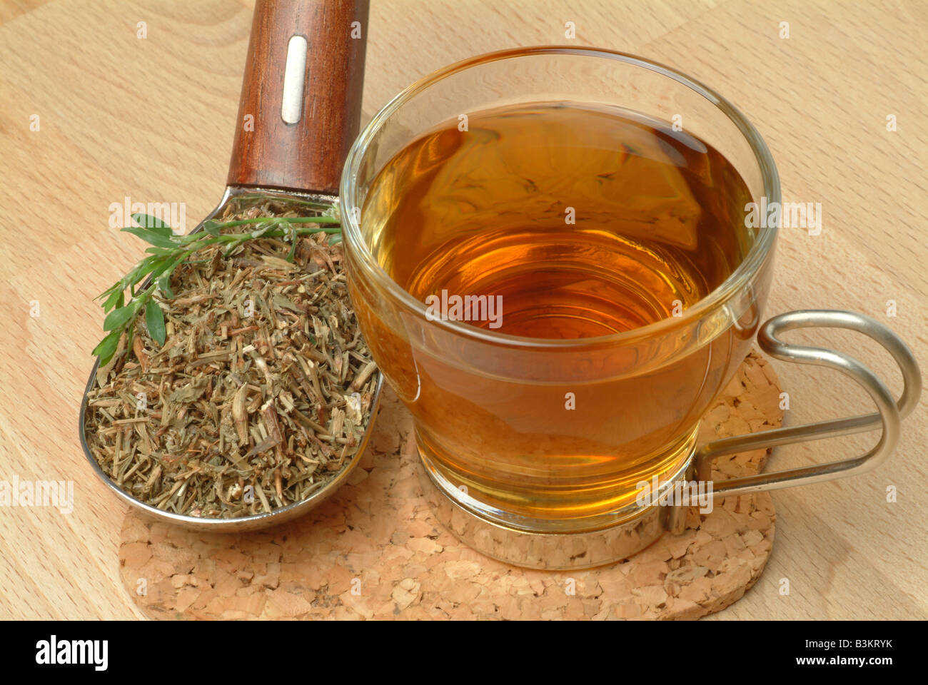 Knotgrass Tea High Resolution Stock Photography and Images - Alamy