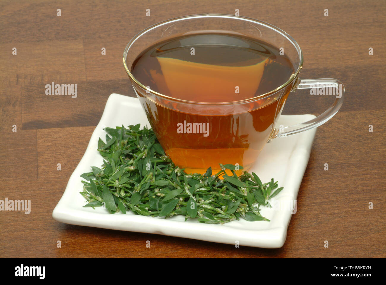 Knotgrass Tea High Resolution Stock Photography and Images - Alamy