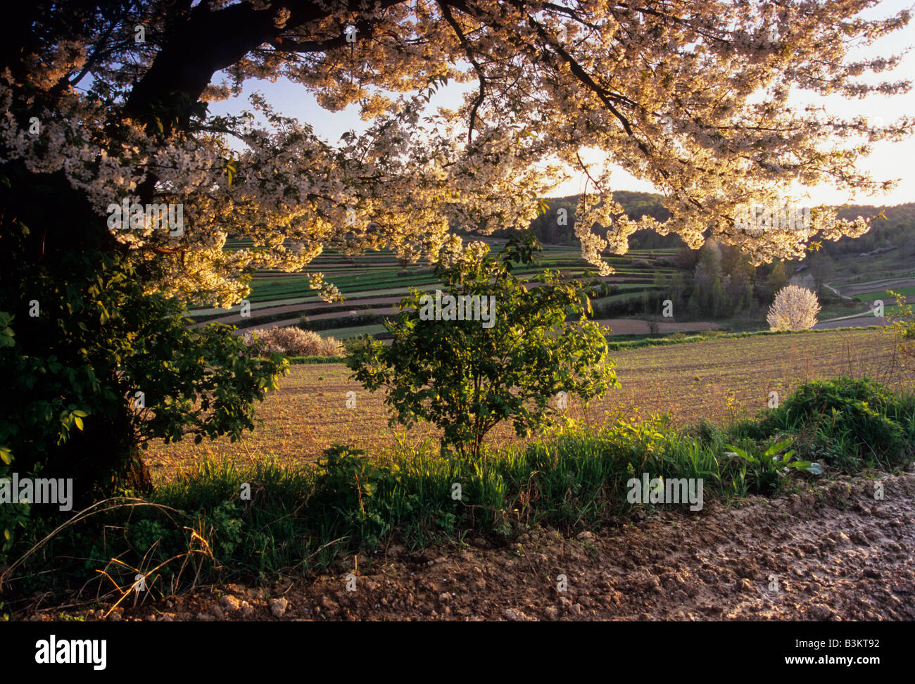 Loess soil hi-res stock photography and images - Alamy