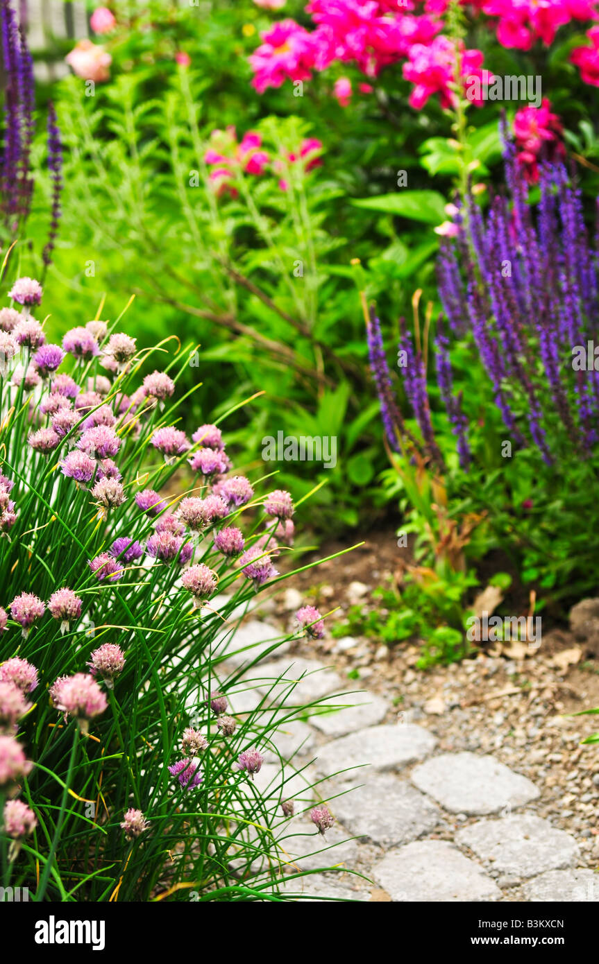 Lush blooming summer garden with paved path Stock Photo - Alamy