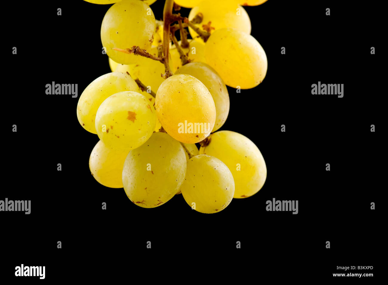 object on black food green grapes Stock Photo - Alamy