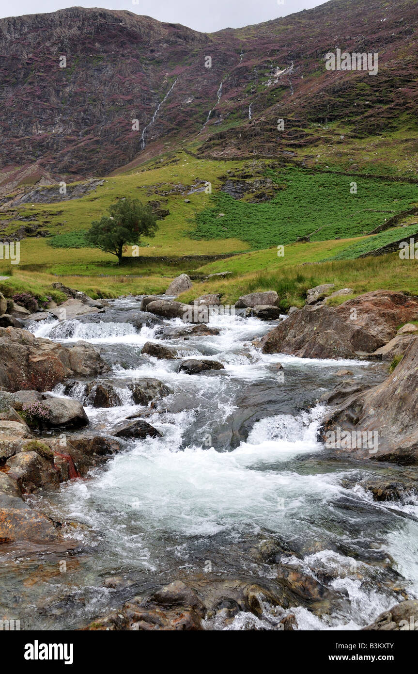 Snowdonia water mountain stream hi-res stock photography and images - Alamy