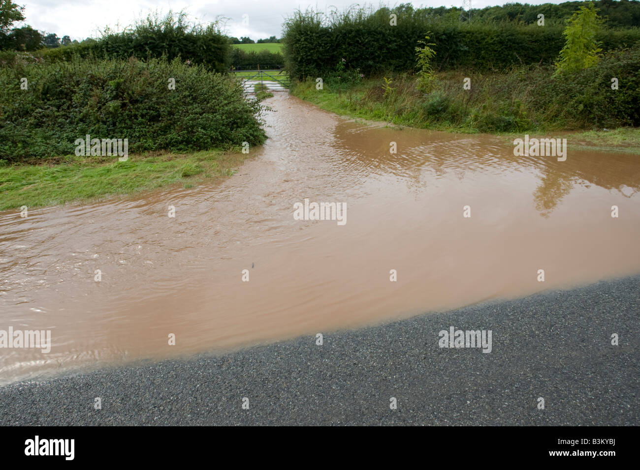 Waterlogged field hi-res stock photography and images - Alamy
