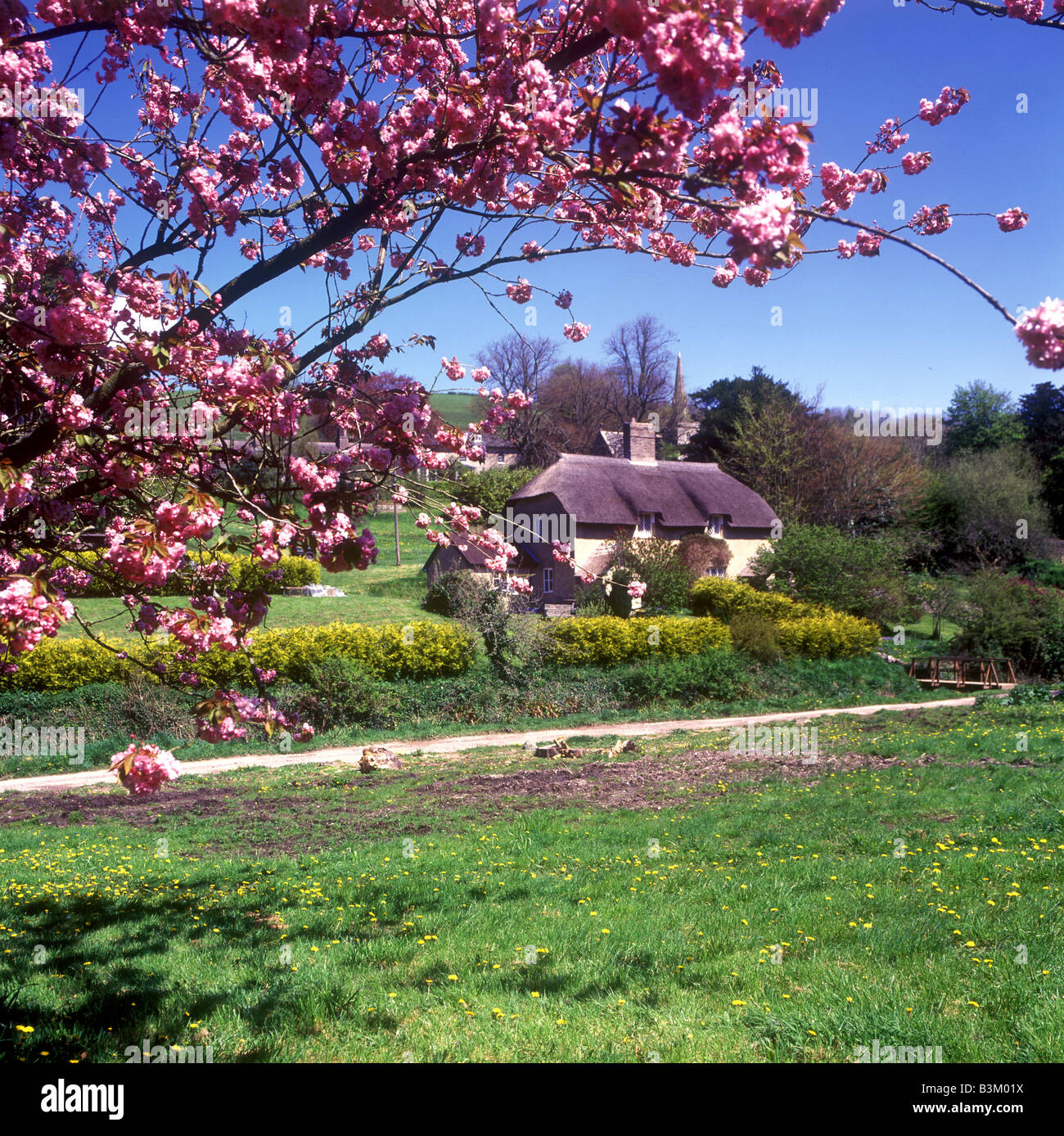 Little Bredy Dorset Stock Photos & Little Bredy Dorset Stock Images - Alamy