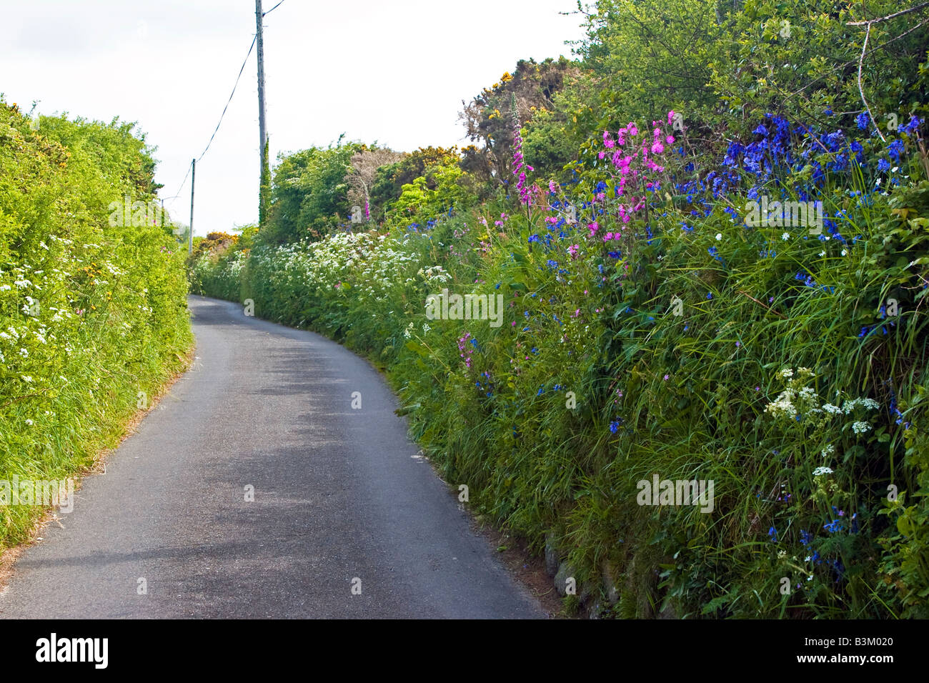 Cornish hedge hi-res stock photography and images - Alamy
