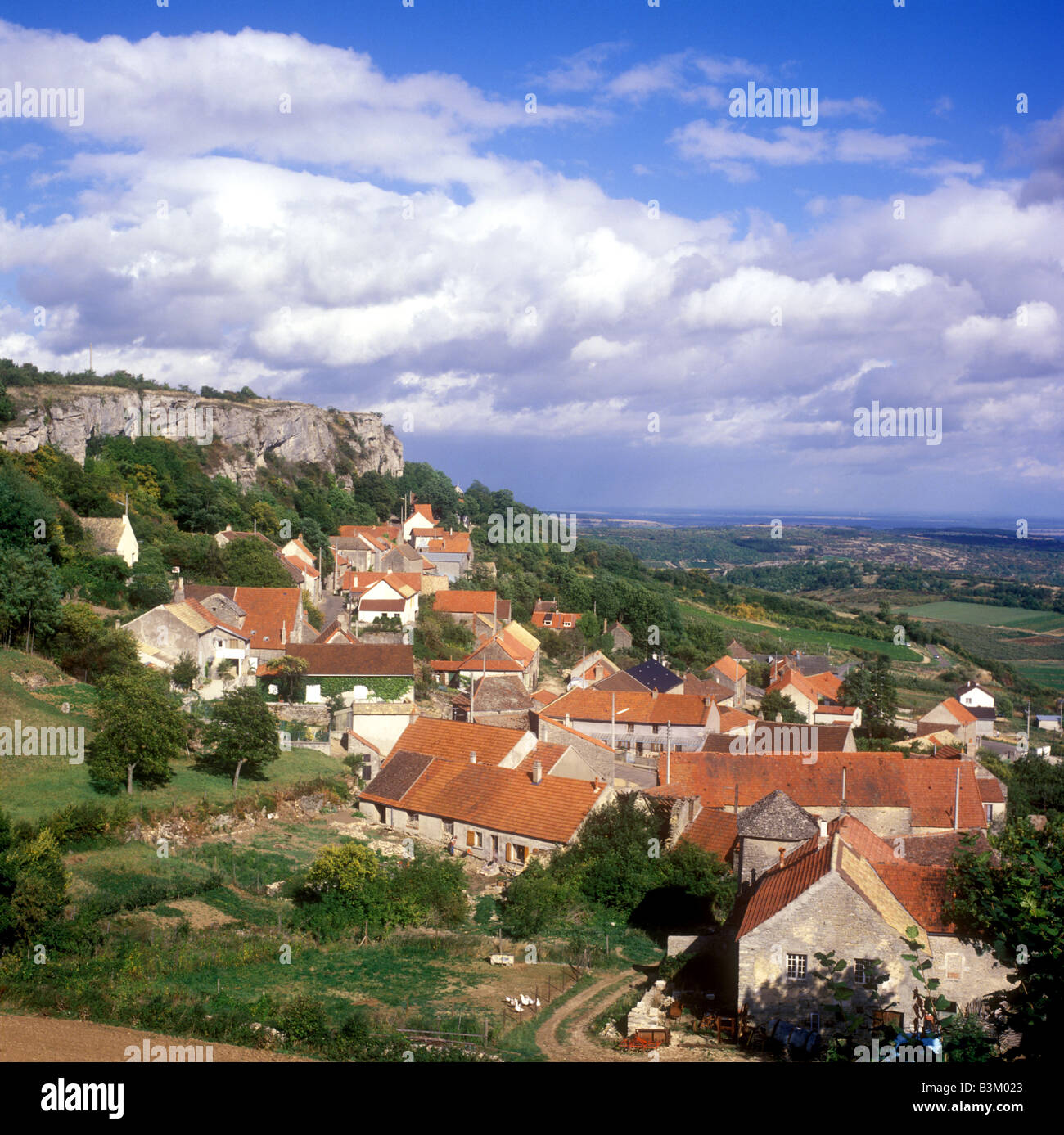 Orches hi-res stock photography and images - Alamy