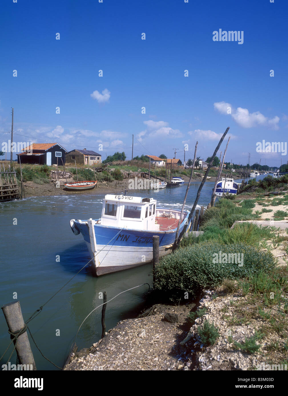 Marennes is famous for its green oysters produced from beds at the ...