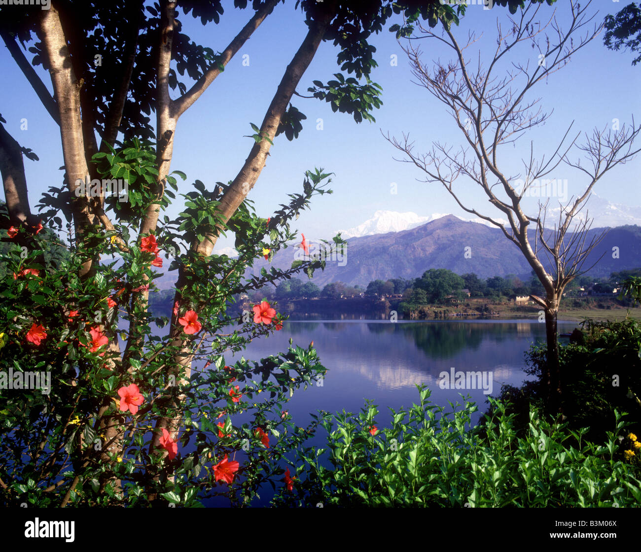 Lake Phewa Tal overlooked by Fishtail Mountain Machapuchhare in the ...