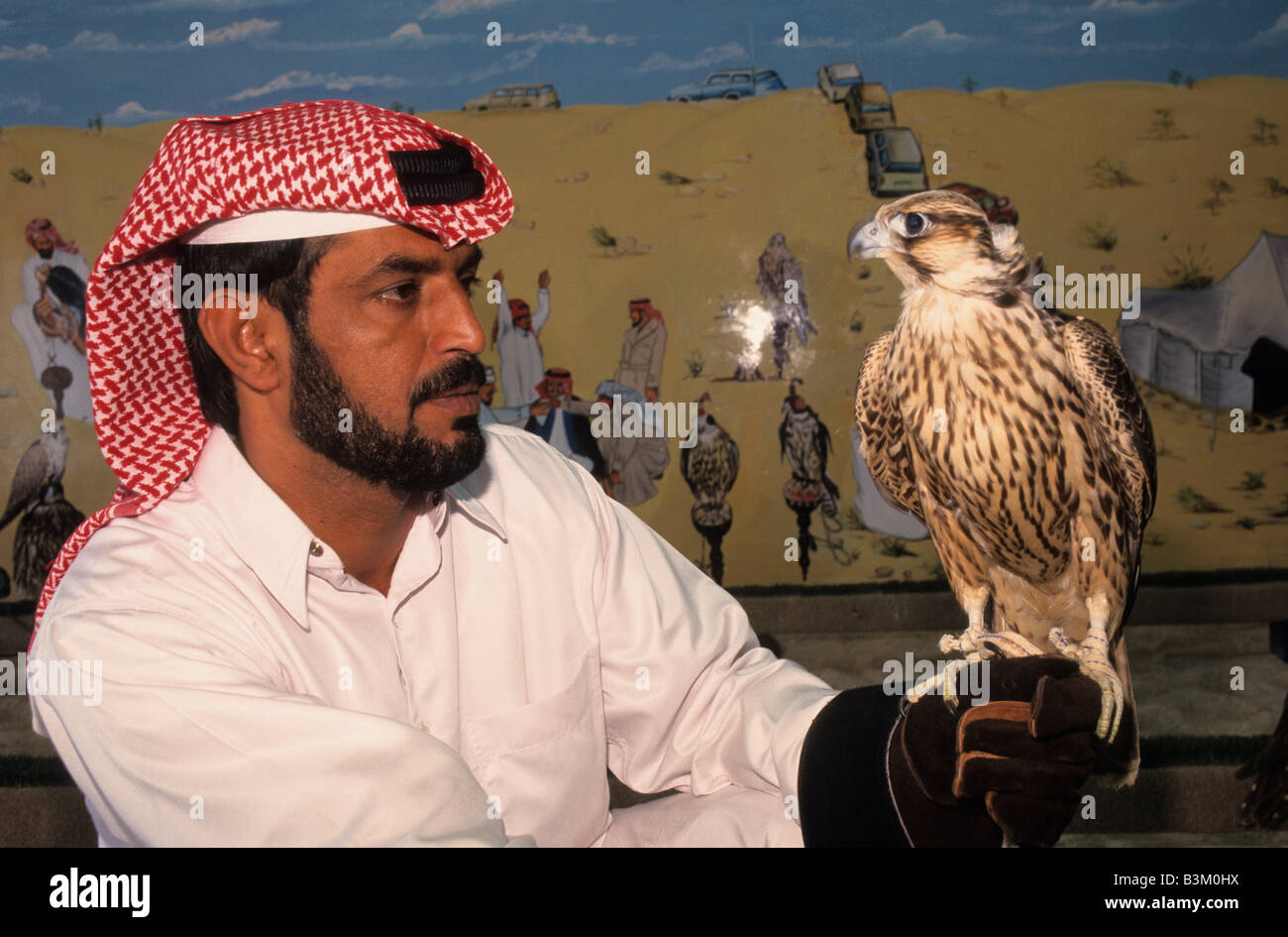 Qatar, Middle East, Asia, the falcons shop of Ali Mohamed in Wholesale ...