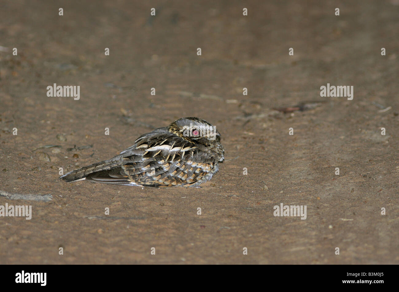 Indian hunting ground hi-res stock photography and images - Alamy