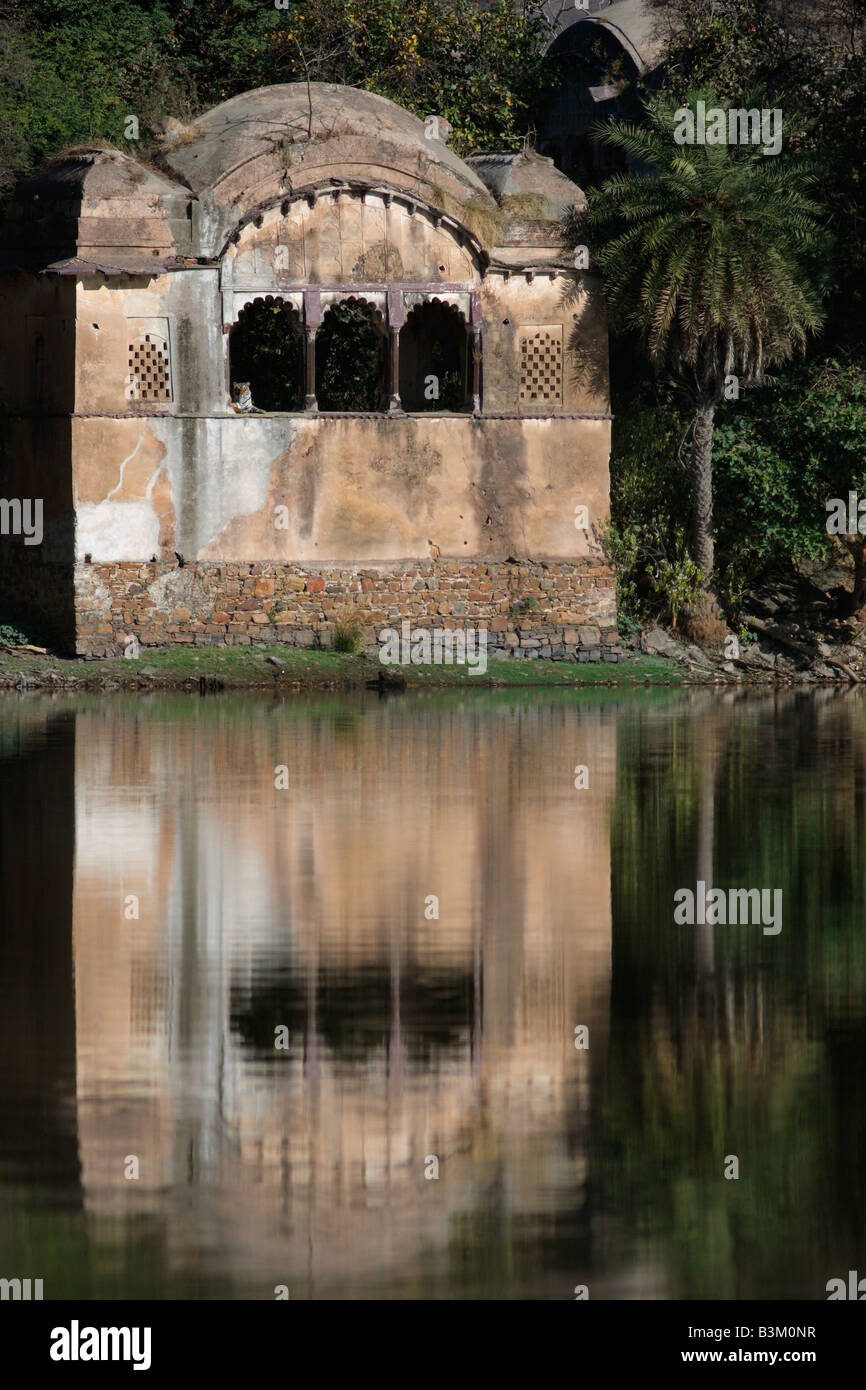 A Royal Bengal Tiger sitting inside the Ancient Palace in the left ...