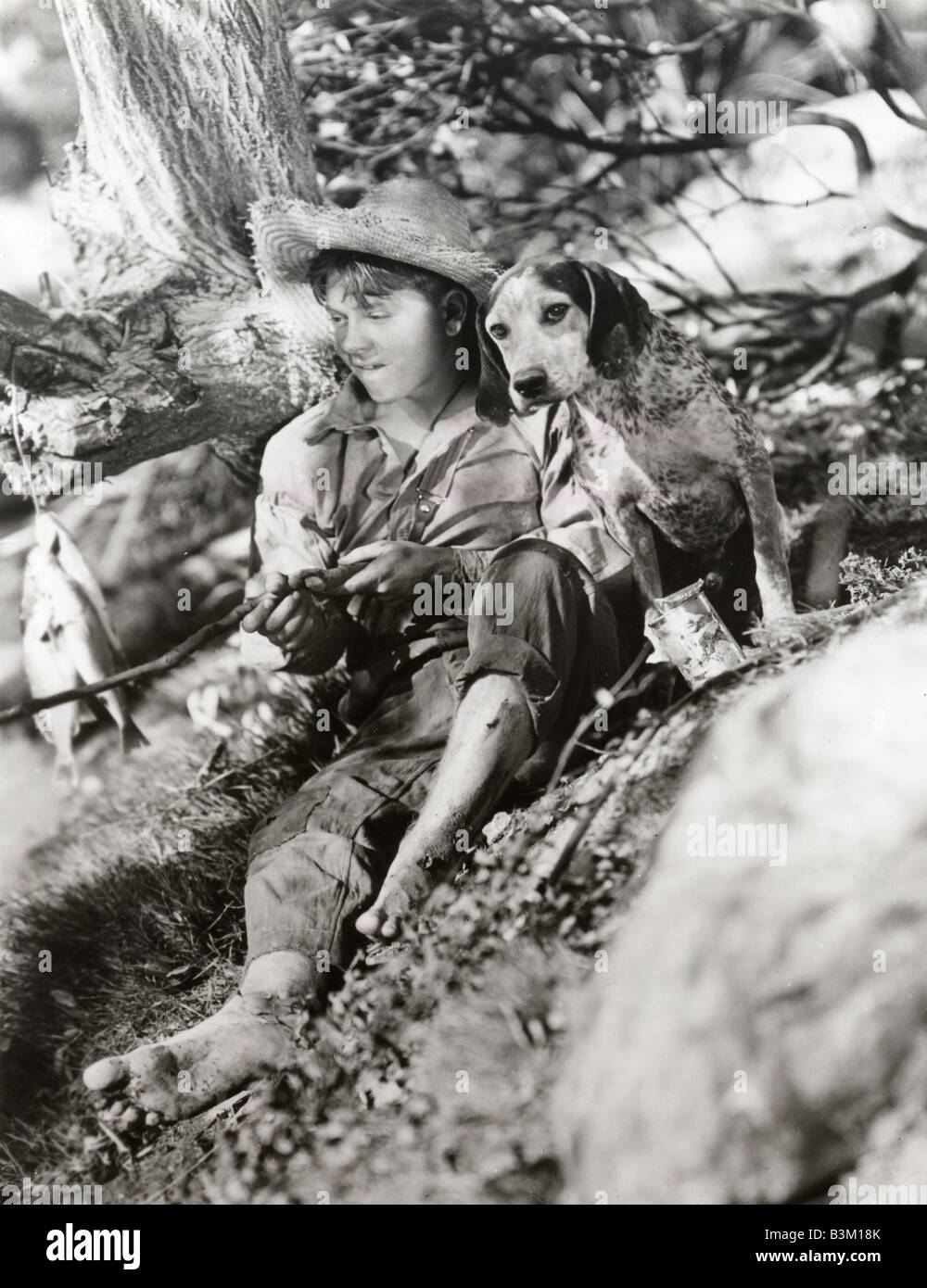 Huckleberry Finn Movie Mickey Rooney The Adventures Of Huckleberry