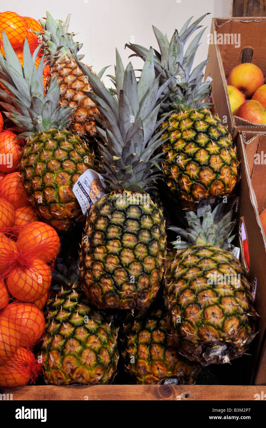 Close up pineapples interior view at Calcott Hall Farm Shop self ...