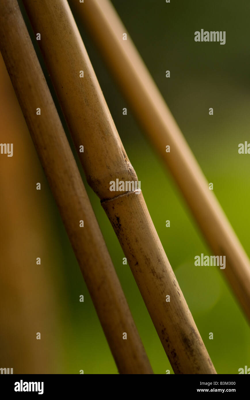 Bamboo stick hi-res stock photography and images - Alamy