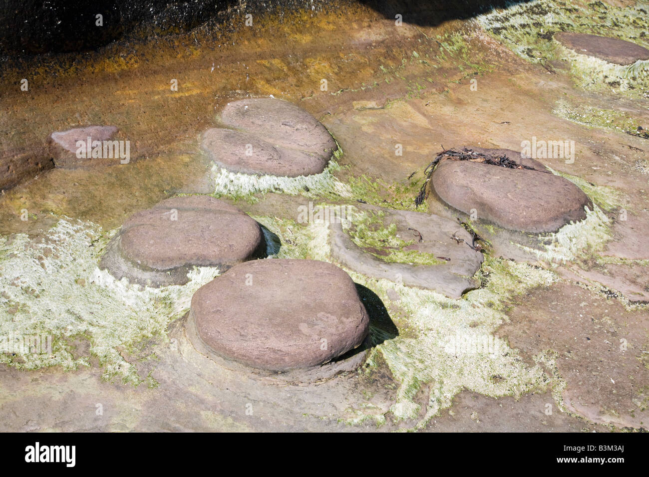 Interesting patterns formed through weathering of the limestone rocks ...