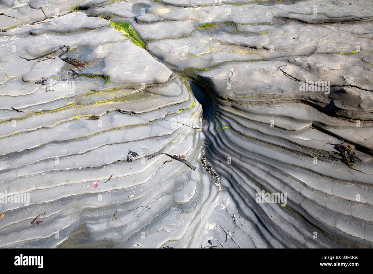 Interesting patterns formed through weathering of the limestone rocks ...